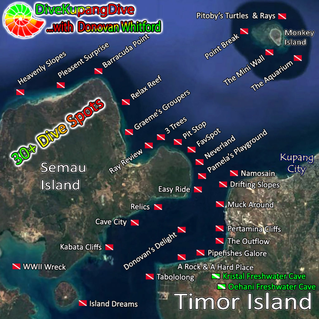 Tourism & Leisure – Watersports – Kupang Diving – Dive Kupang Dive with ...